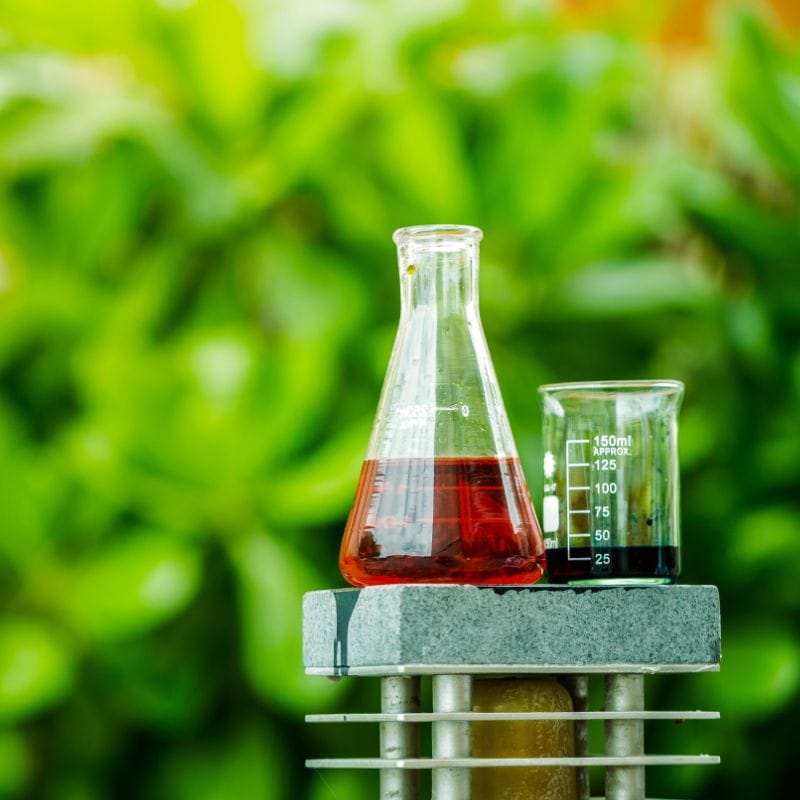 Discover Biobased Materials, Explore the Bioeconomy